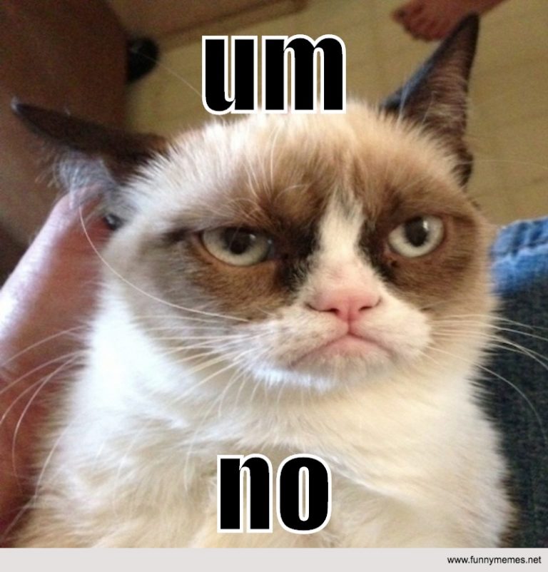 Grumpy Cat Throwback Thursday | Funny Memes